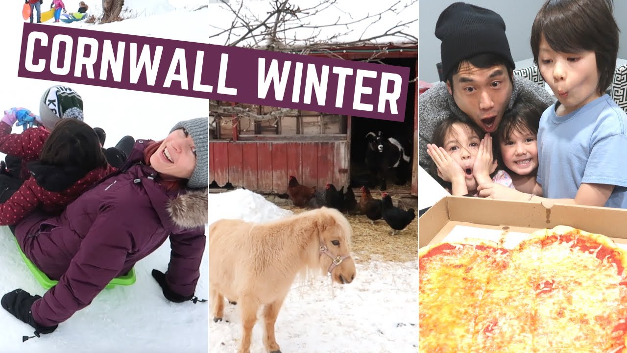 Winter Fun in Cornwall NY: Sledding at Storm King Golf Course, Petting ...
