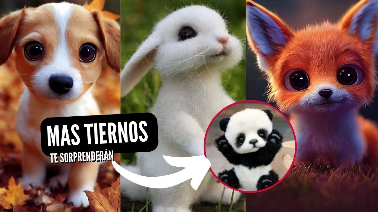 TOP 10 ANIMALES MAS TIERNOS. EL NÚMERO 1 TE SORPRENDERÁ. - YouTube