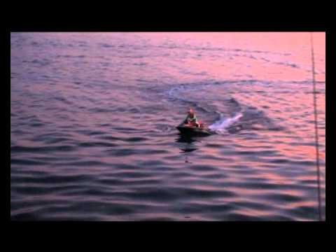 Robbe Sea Jet Evolution Modified - YouTube