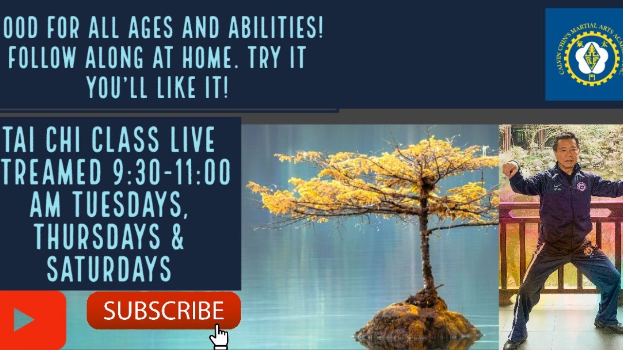 Tai Chi Paradigm (Tai Chi Step by Step)followed by Wu 108 form tai chi ...
