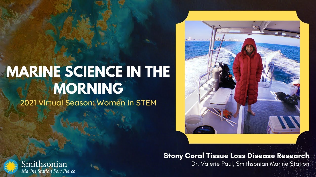 Marine Science in the Morning: Dr. Valerie Paul - YouTube