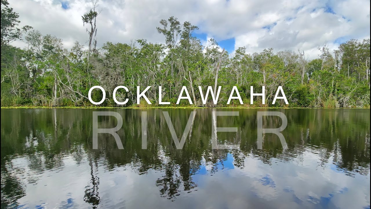 OCKLAWAHA RIVER -Marion County, Florida - YouTube
