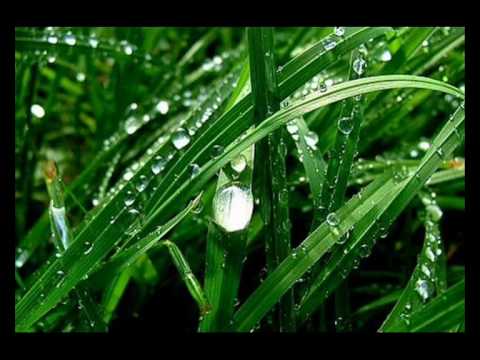 Mne Ne Nravitsa Dozd.wmv