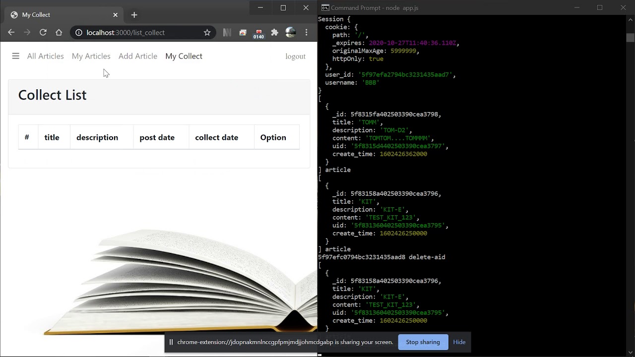304CEM 197370507 CHAN WING KIT - YouTube