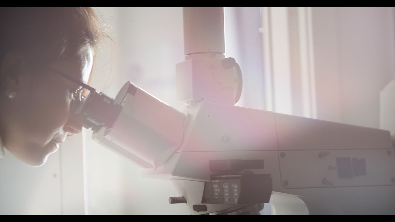 Lipigon the Movie (SWE subs) - YouTube