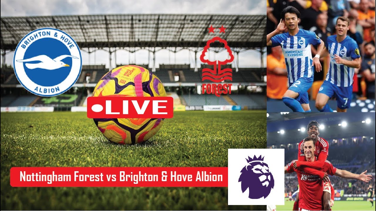 Nottingham Forest vs Brighton Live Streaming Premier League EPL ...