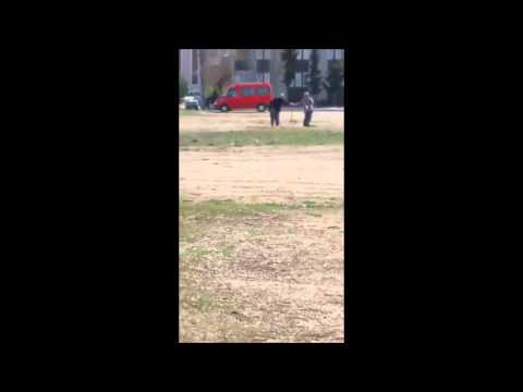 ŞEHİTLİK... GÜPEGÜNDÜZ... CAFERR BEZ GETİR