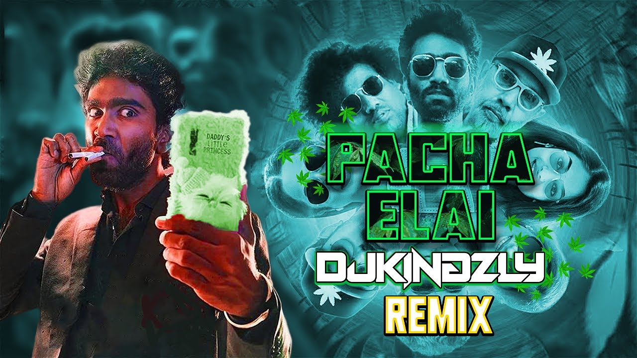 Pacha Elai DJ Remix | Love Today | Dj Kingzly | Pradeep Ranganathan | Ivana | Raveena Ravi - YouTube