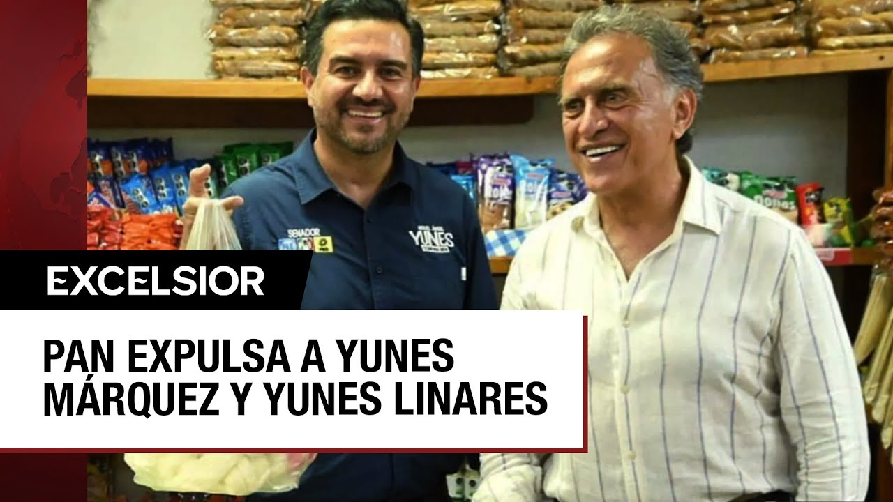 Yunes Márquez y Yunes Linares fuera del PAN por votar a favor de la ...