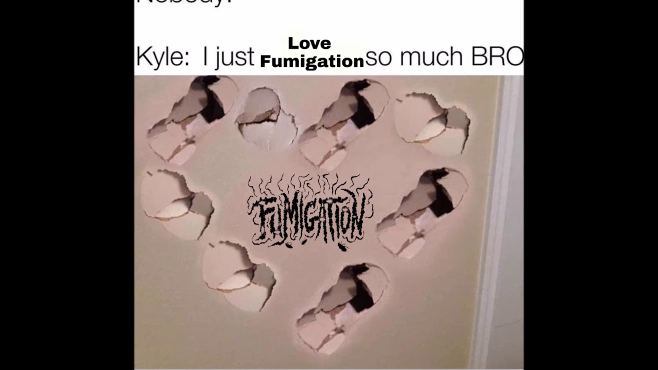 Top 10 Fumigation memes of 2019 - YouTube