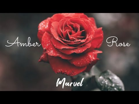 Marvel-Amber Rose (lyric video)|a lyrical movie| - YouTube