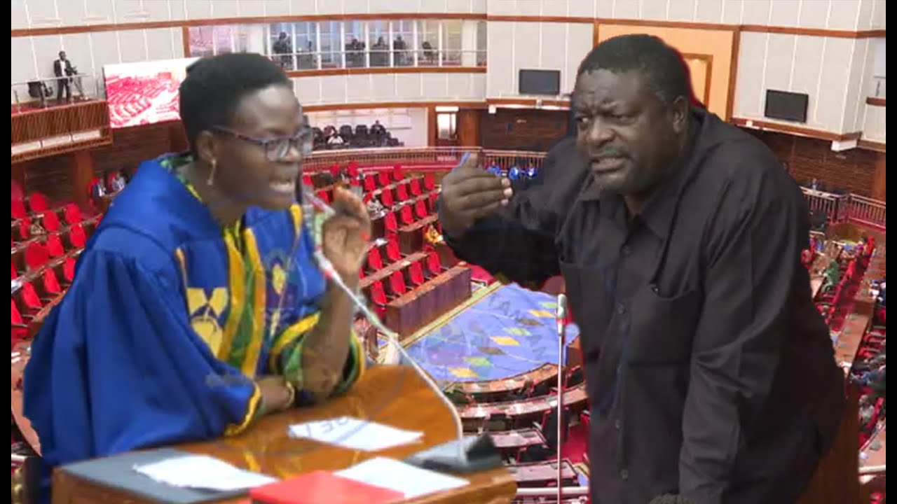 DR. TULIA VS MBUNGE TABASAMU BUNGENI WAKIJIBIZANA "MIMI SIPANGIWI ...