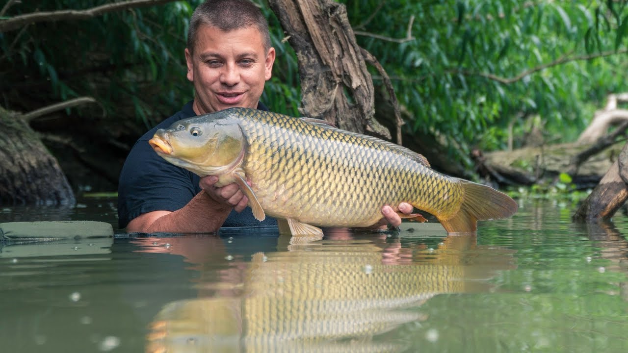 A Bodrog kincsei / Treasures of River Bodrog - YouTube