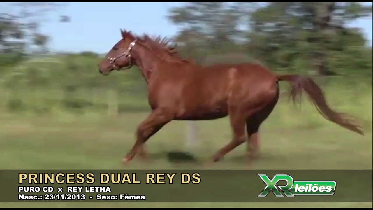 PRINCESS DUAL REY DS - YouTube