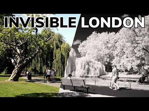 The weird, invisible world of infrared