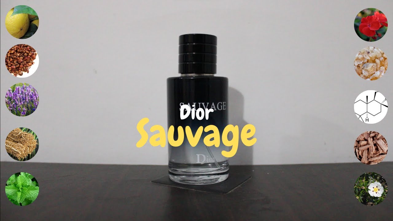 Dior Sauvage Detail Review in Nepali | Dior Sauvage Perfume in Nepal # ...
