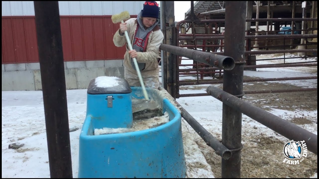 Farming in cold weather - YouTube