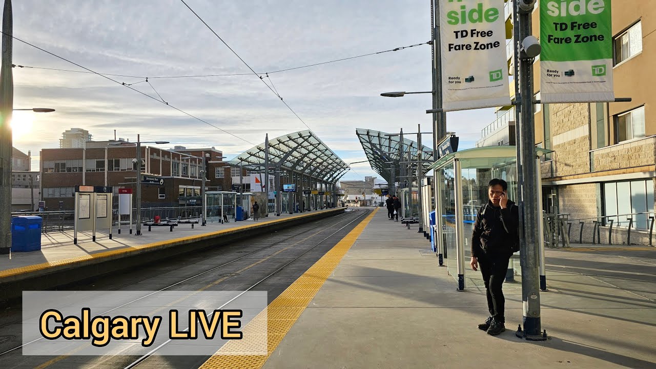 Calgary Downtown LIVE on 2nd February 2024 - YouTube