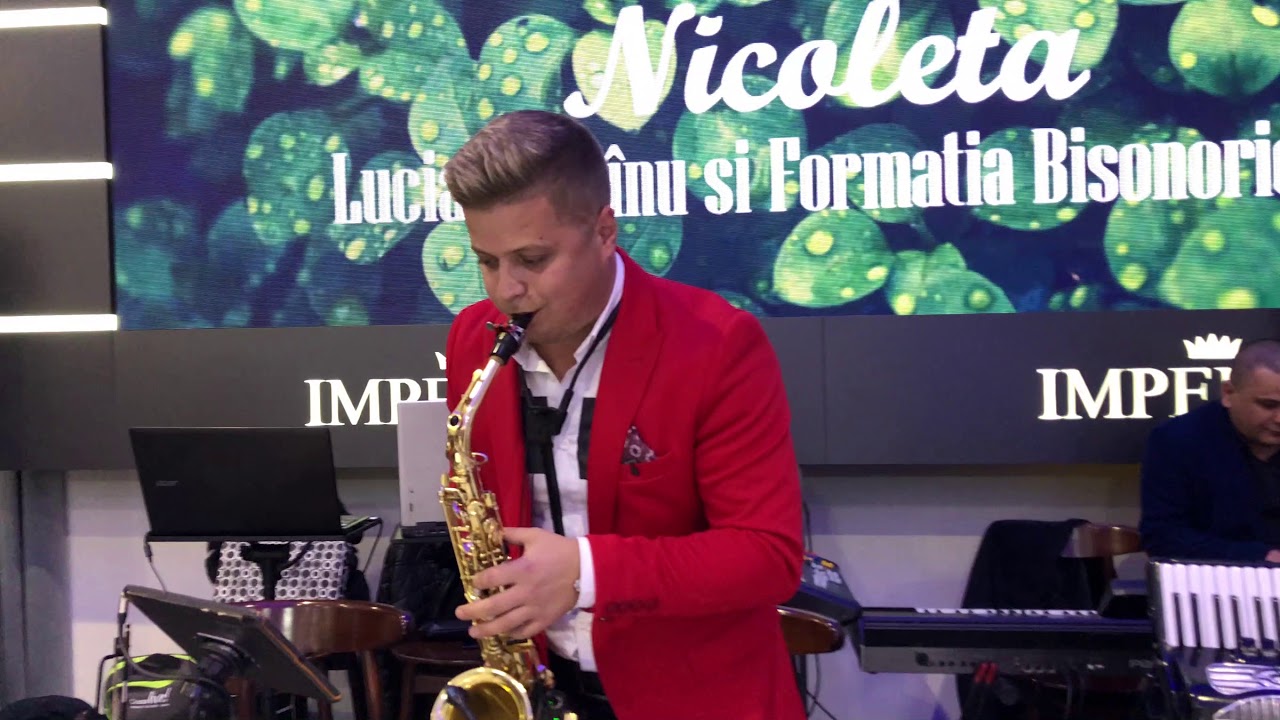 Vlad Bejan - intimpinarea oaspetilor 3 - YouTube