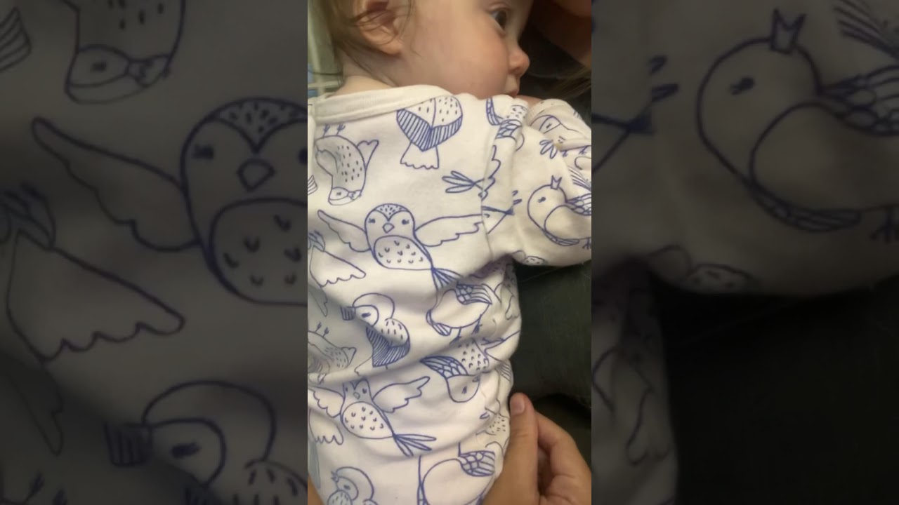 Cuddle bugs - YouTube