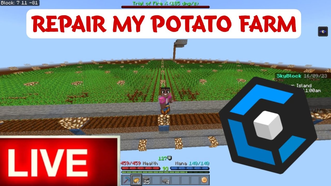 ( 🔴LIVE ) CraftersMC SkyBlock :- Repair the potato farm - YouTube