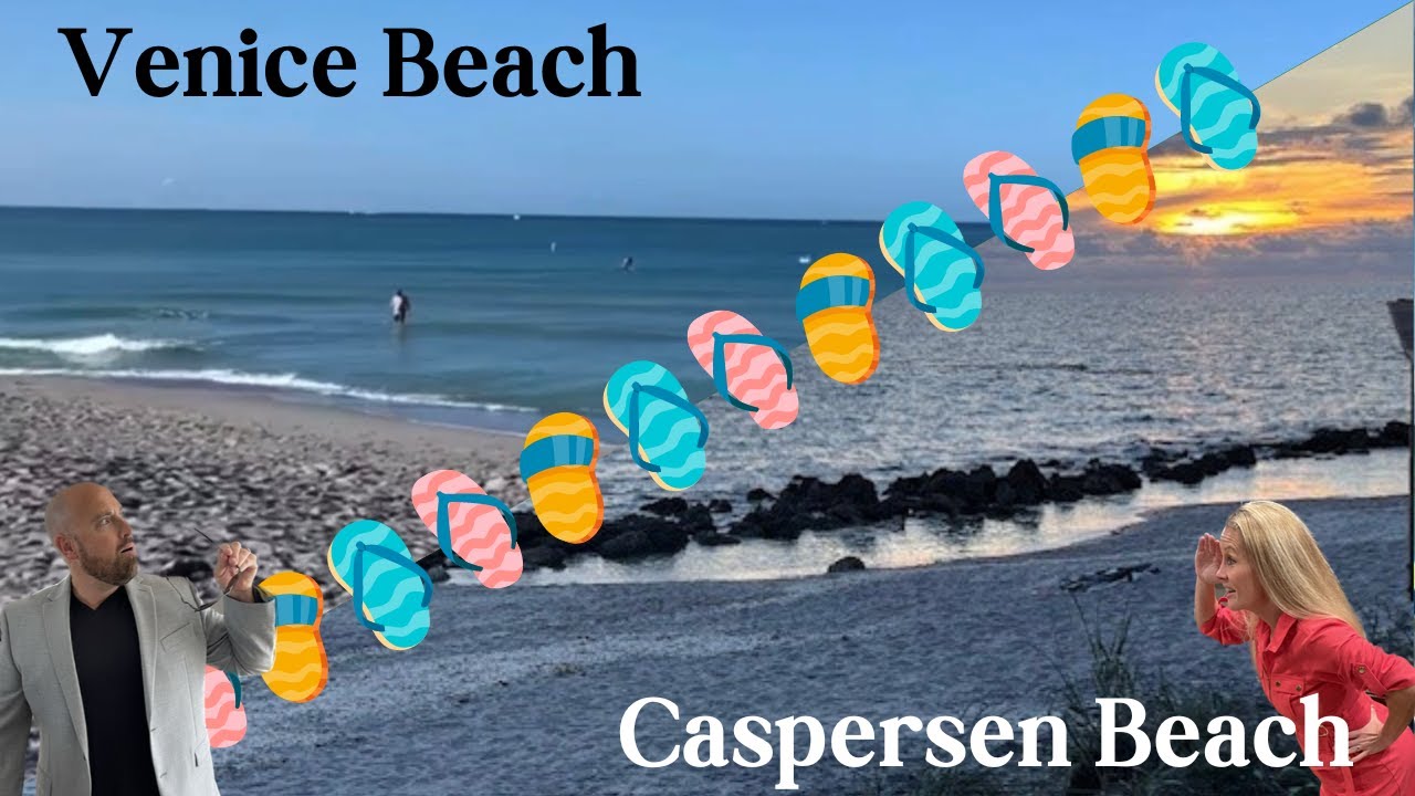 🦈Discover Ancient Shark Teeth at Stunning Venice & Caspersen Beach, FL ...