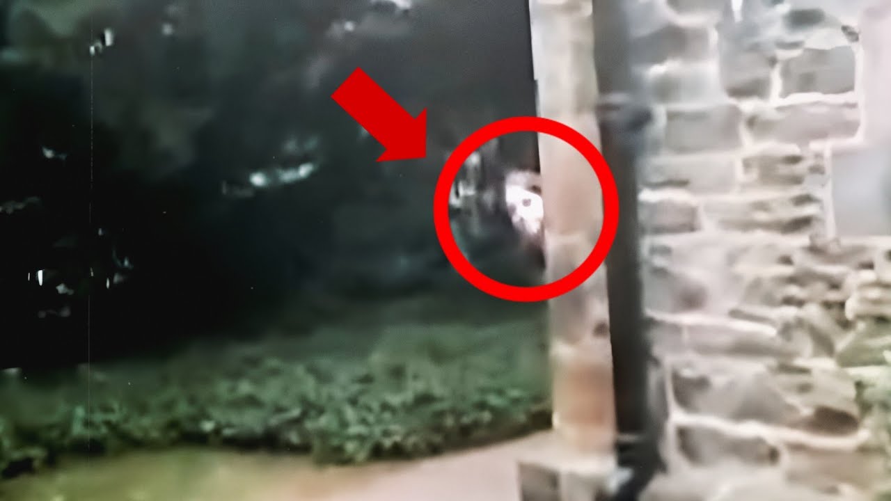 Terrifying Moments: Videos That Will Keep You Awake at Night 💀 | Mr ...