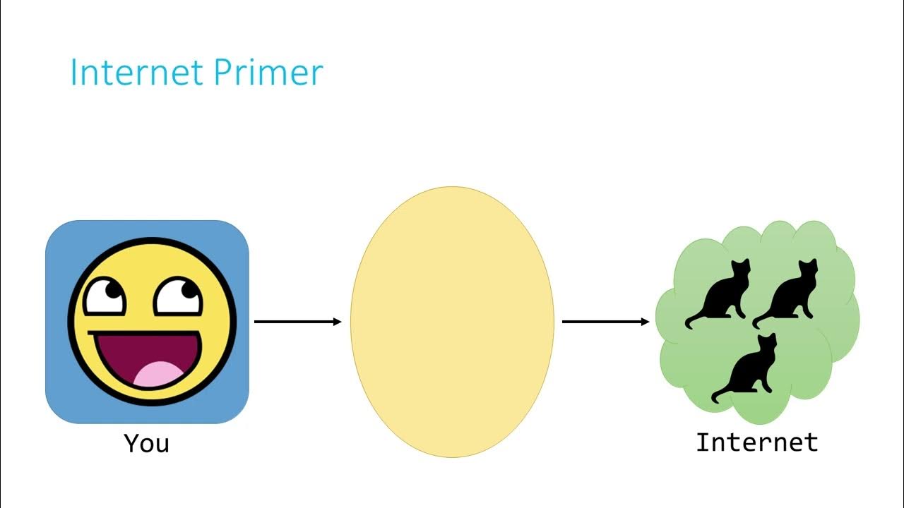 CS50 MCZ - Internet Primer - CS50 Shorts - YouTube