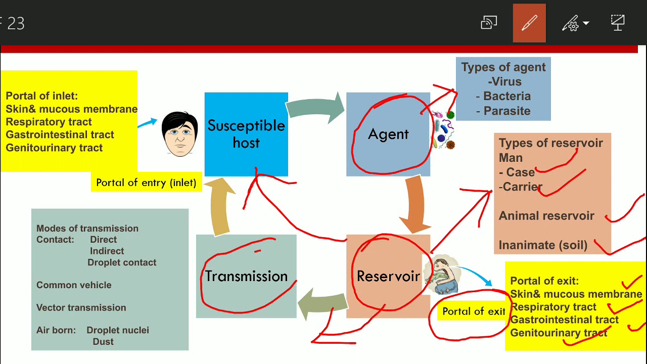 Control and Prevention of Infectious Diseases - YouTube