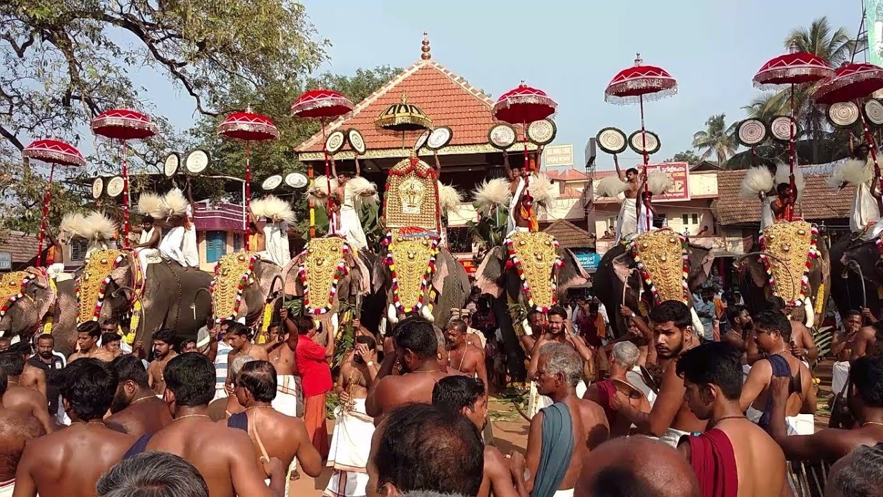 KODUNGALLUR THALAPPOLI 2018 AANA POORAM HD - YouTube