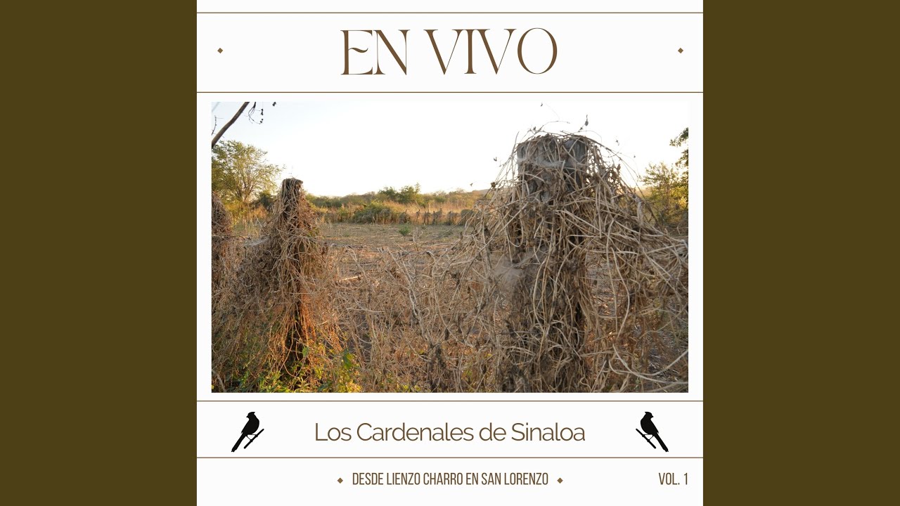 La Yegua Cebruna - En Vivo - YouTube