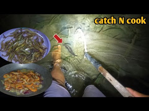 Paninipa(Takyan) nang Hipon (catch N cook) - YouTube