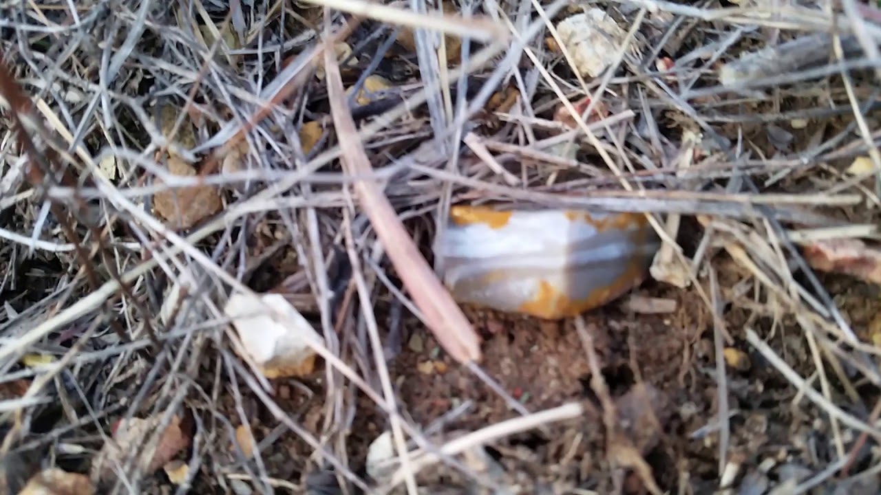 Mozarkite locations, rockhounding Missouri - YouTube