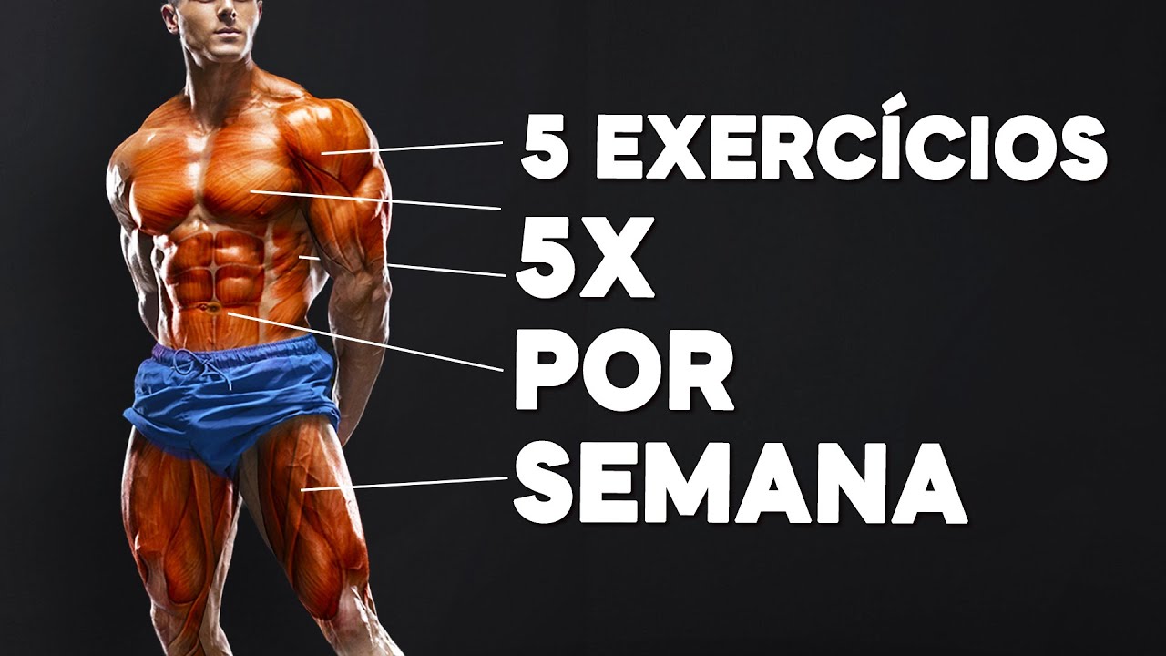 Divisão de Treino 5 Vezes Na Semana Em 25 minutos | Treino Full Body - YouTube
