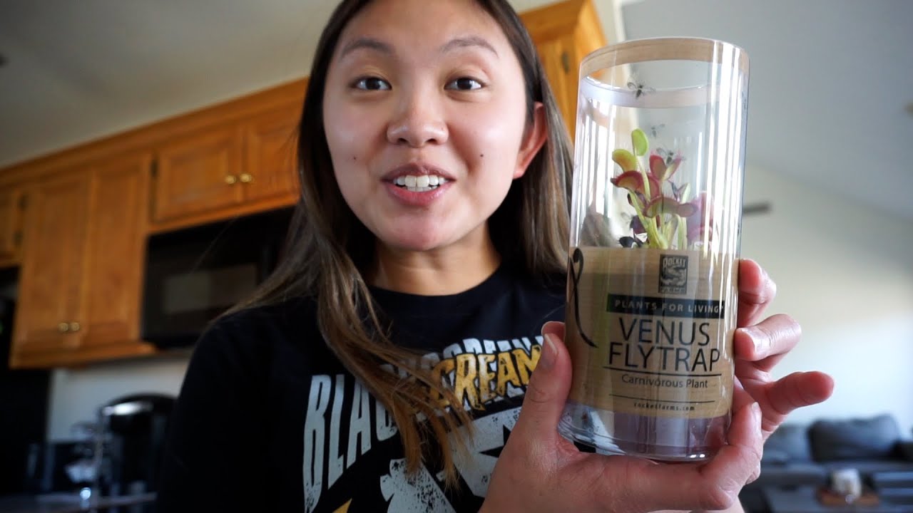 our family is getting a little bit bigger - YouTube