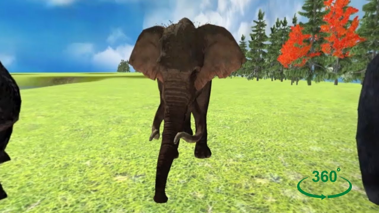 WILD ANIMALS | ZOO | 360 VEDIO | VR | ELEPHANT | COW #shorts - YouTube