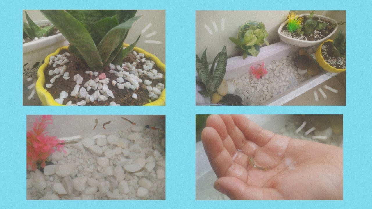 Making a balcony fish pond..... - YouTube