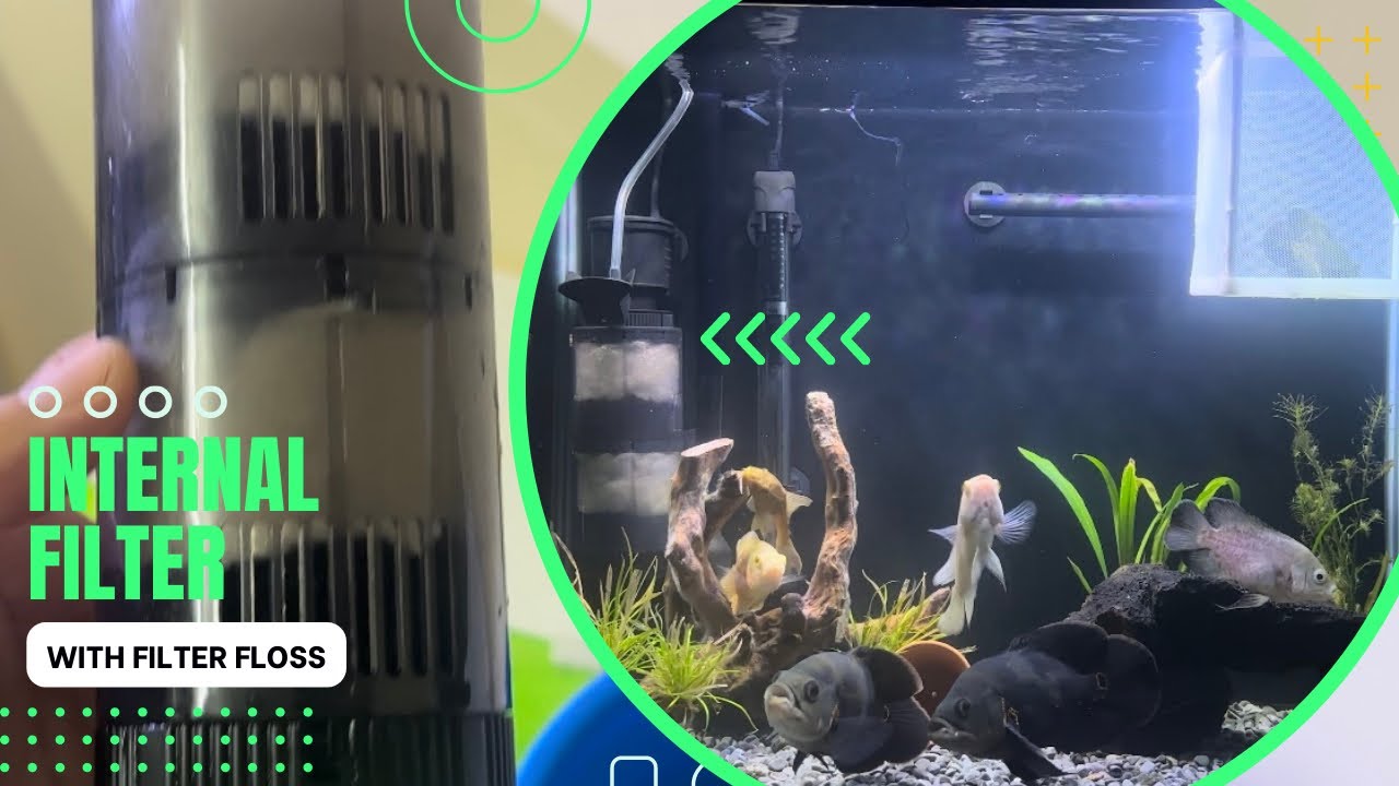 Making my internal filter into a water polishing filter - YouTube