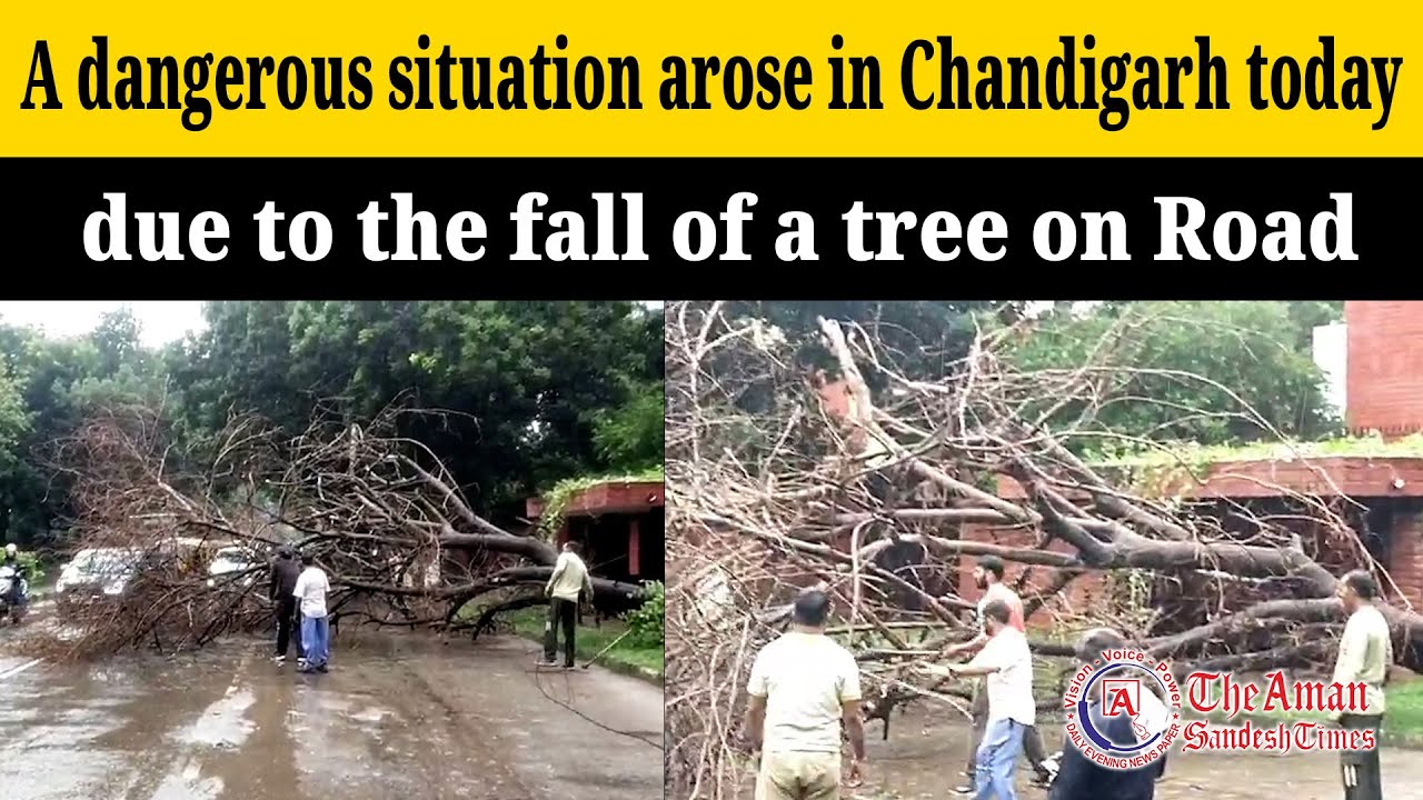 A dangerous situation arose in Chandigarh today due to the fall of a ...