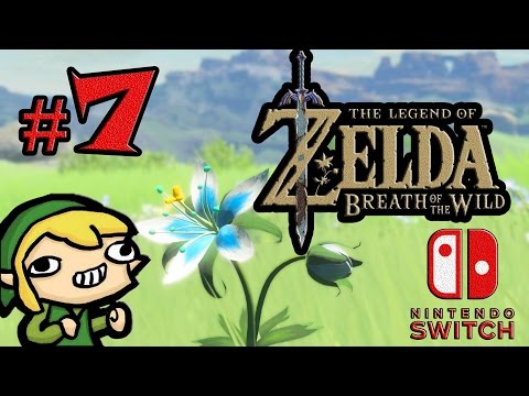 TETAS ENORMES !! HINOX !! PALIZA ! TANNAOH ! PRUEBA HEROICA ! #7 Zelda - Divertidus - Español