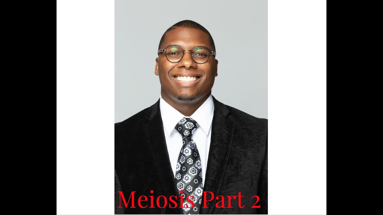 Meiosis Part 2| Mr. James' Class - YouTube