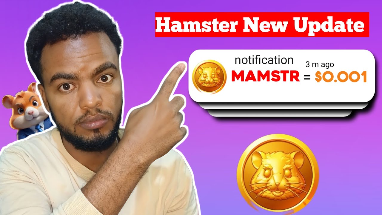 Hamster Kombat New Update | Latest Features & Gameplay Changes! - YouTube