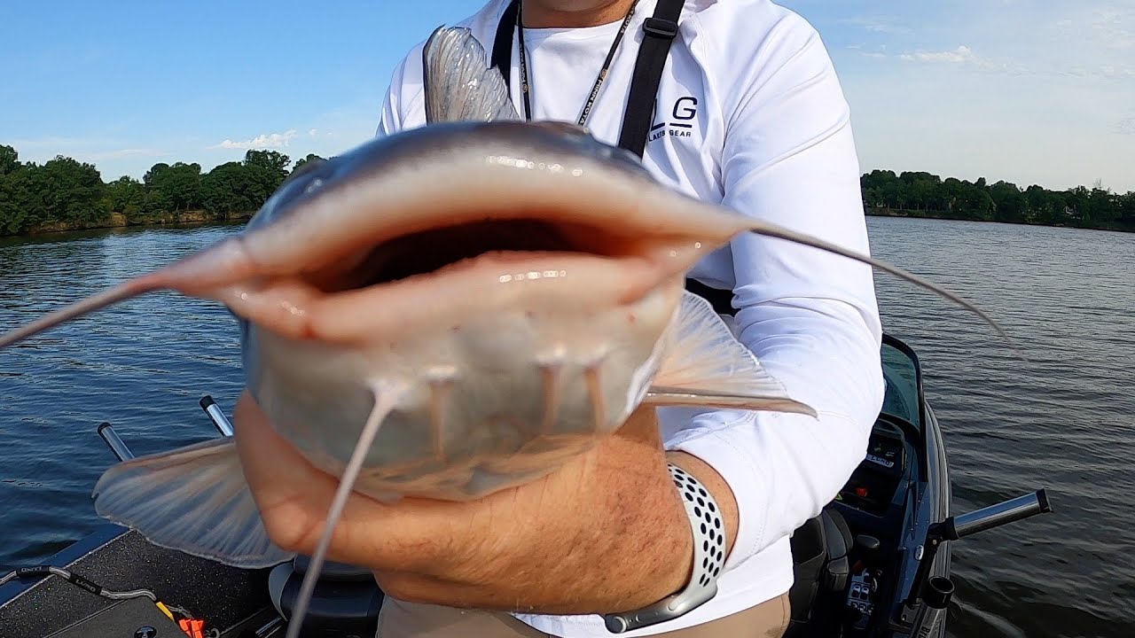 Hoover Reservoir Fishing Report from Columbus, Ohio June 21st, 2025 ...
