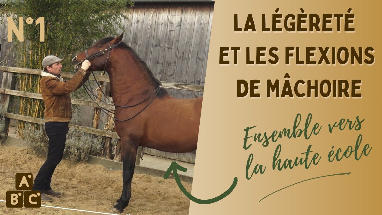 ⭐ La lérèteté à la main et les flexions de mâchoire de votre cheval⭐ ...