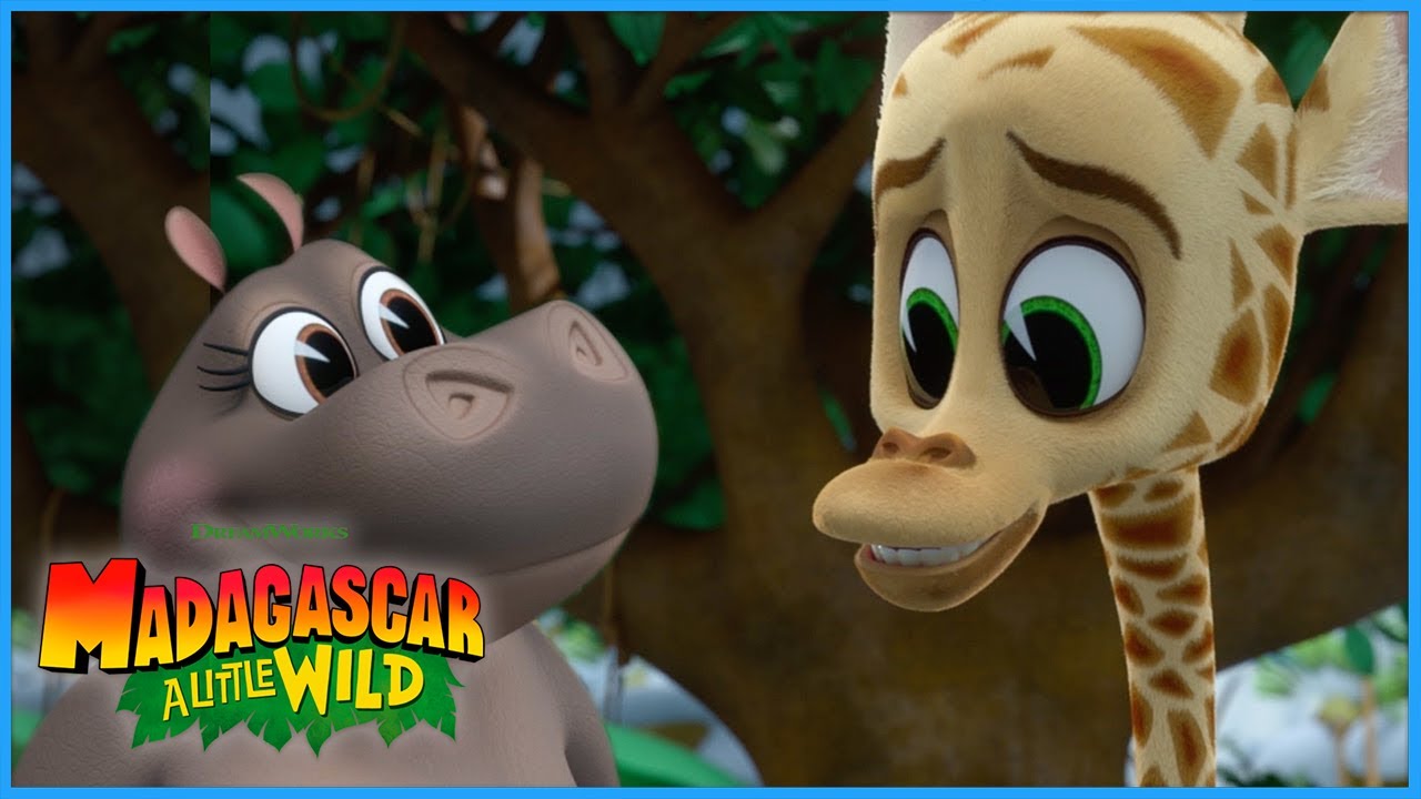 Melman In The SNOW?! ️😲 | A Little Wild | DreamWorks Madagascar - YouTube