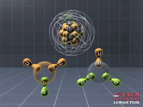 129  Çekirdeğin Yapısı   Fizik Animasyon The Structure of the Coulter   Physics Animation
