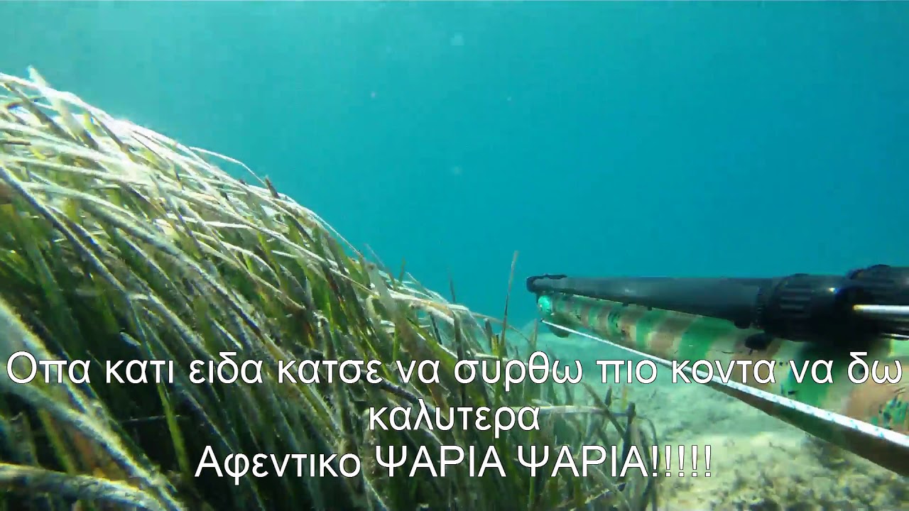 ψαροντουφεκο μουρμουρα τσιπουρα & τωρα σε πιο να ριξω(subs) - YouTube