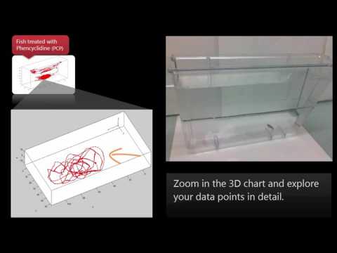 3D tracking of zebrafish circling behavior with Track3D 斑馬魚三維軌跡追蹤 - YouTube