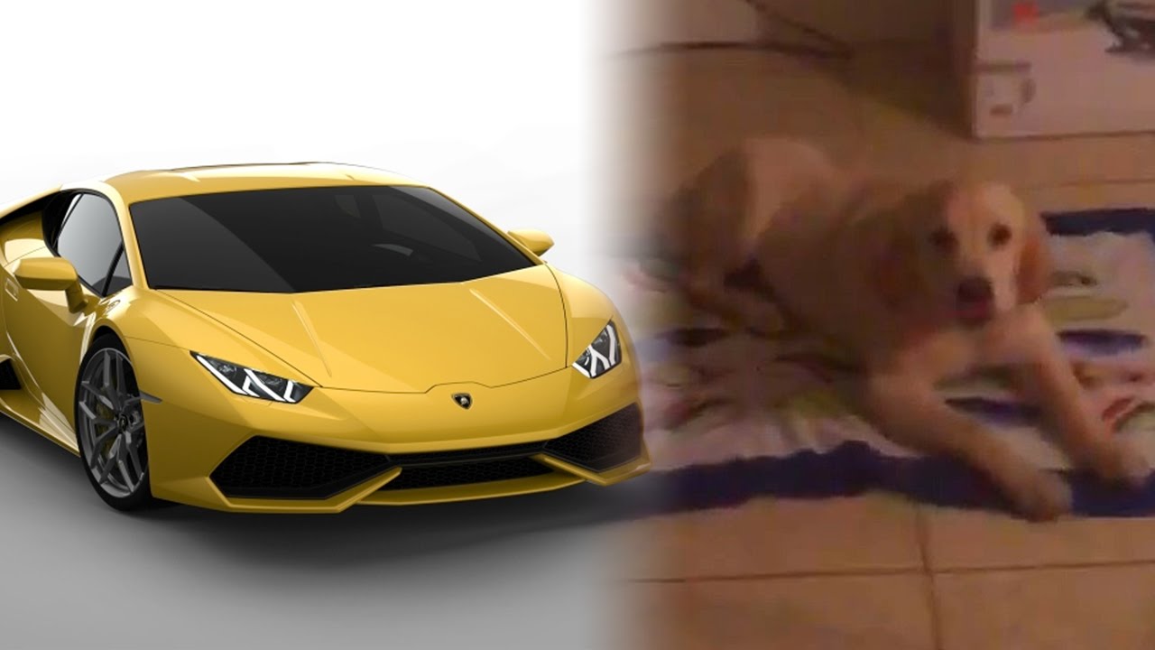 Super Cooper Sunday #12 - Cooper over Lambos, 1am Training Sesh - YouTube