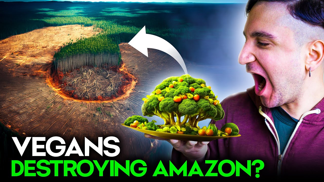 The Great Deforestation Debate: Are Plant Based Diets Destroying the ...